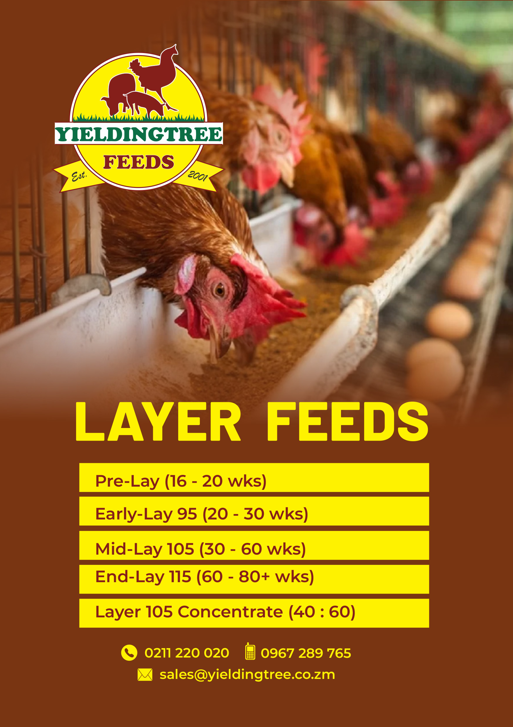 Layer Feeds - Yieldingtree Pullet Rearers Ltd