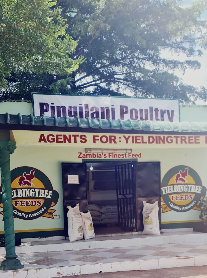 Lusaka Province - Yieldingtree Pullet Rearers Ltd