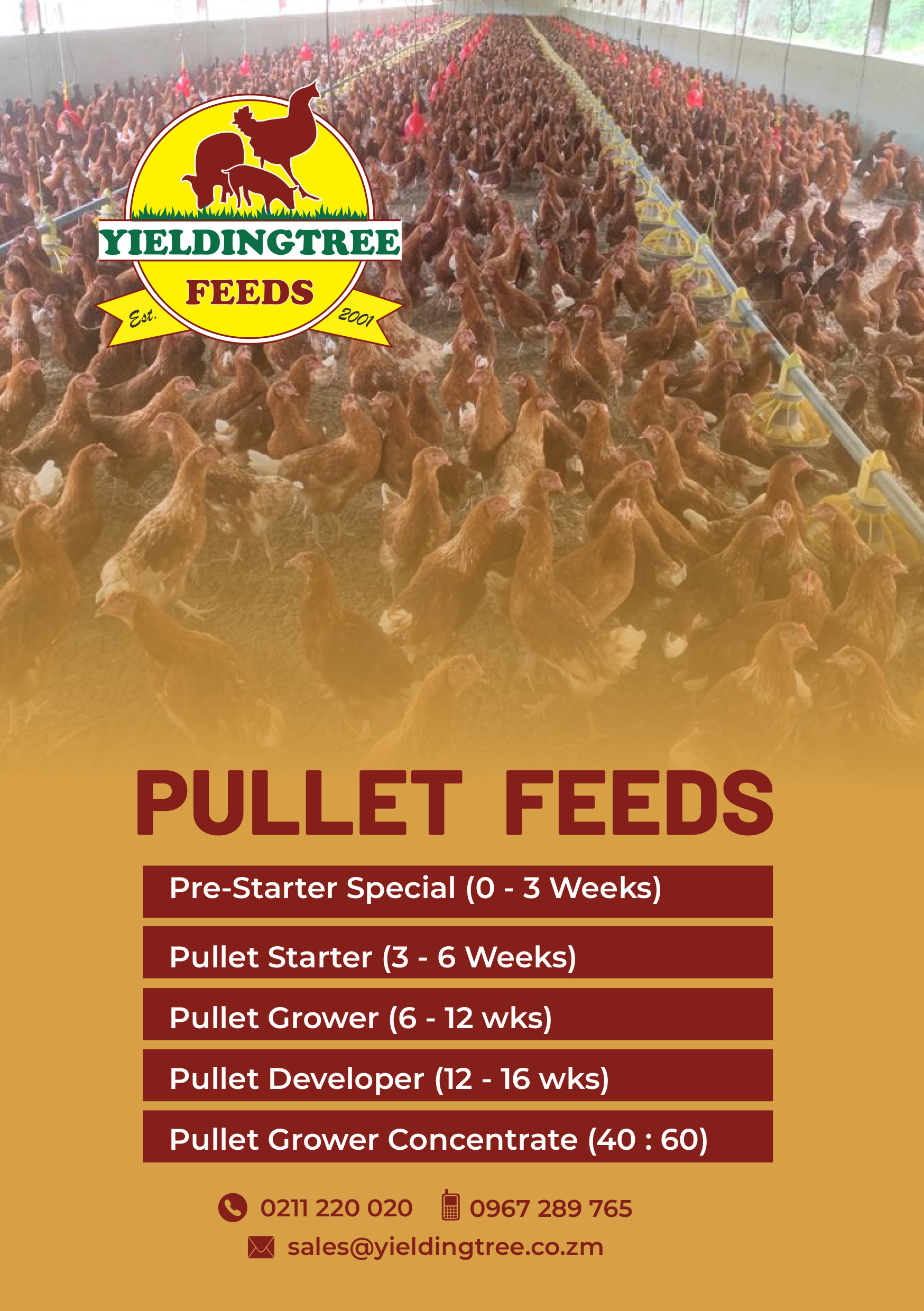 Feed Products - Yieldingtree Pullet Rearers Ltd
